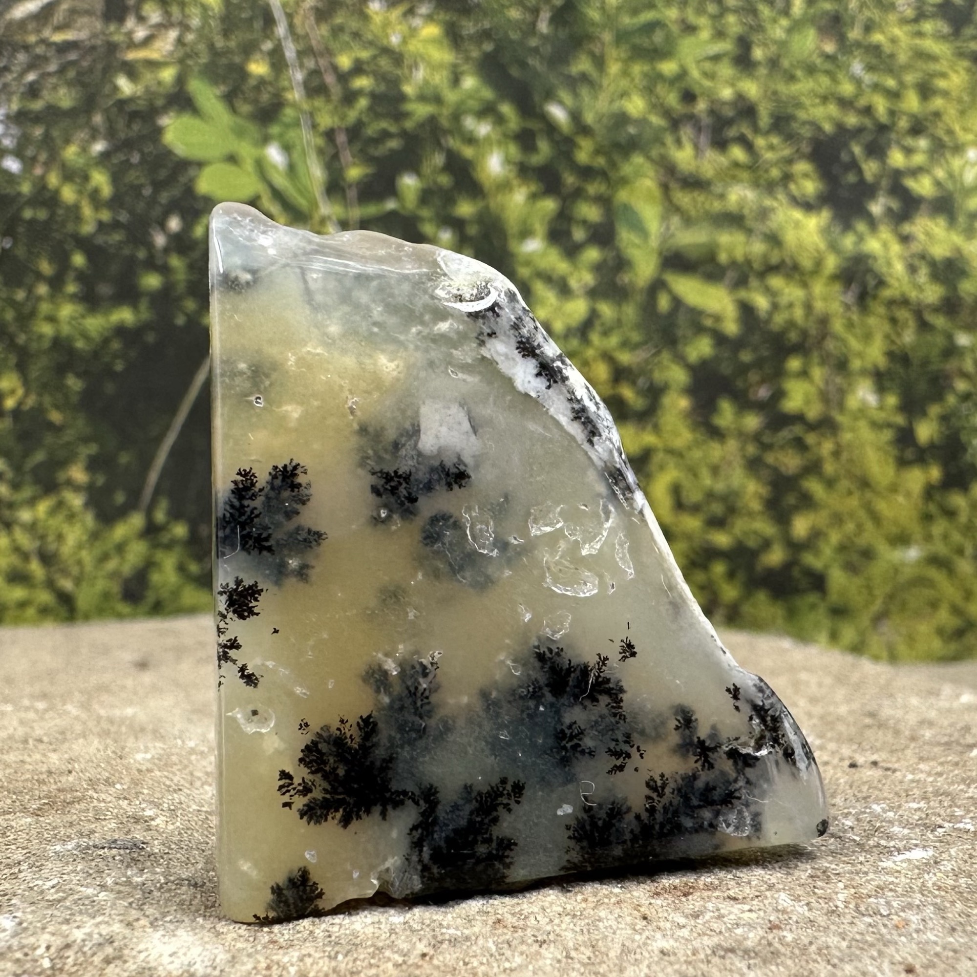 Merlinite Crystal Mineral Uruguay Natural Black White Stone Specimen 15 ...