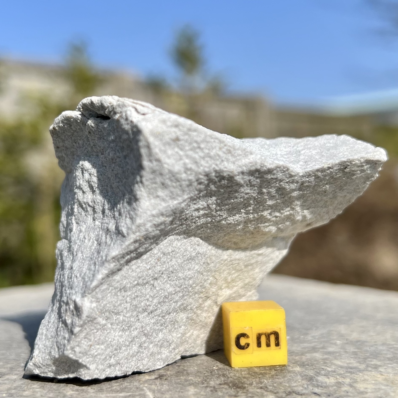 Purbeck Limestone, Portland, Dorset, UK (rock sample) – UKGE Wholesale