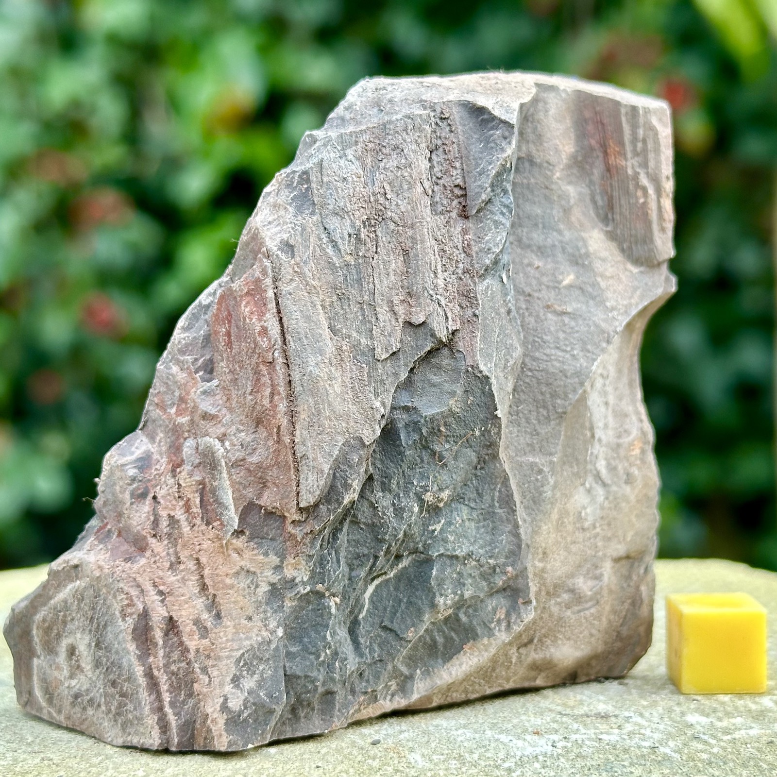 Carboniferous Coal Measures Somerset (rock sample) – UKGE Wholesale