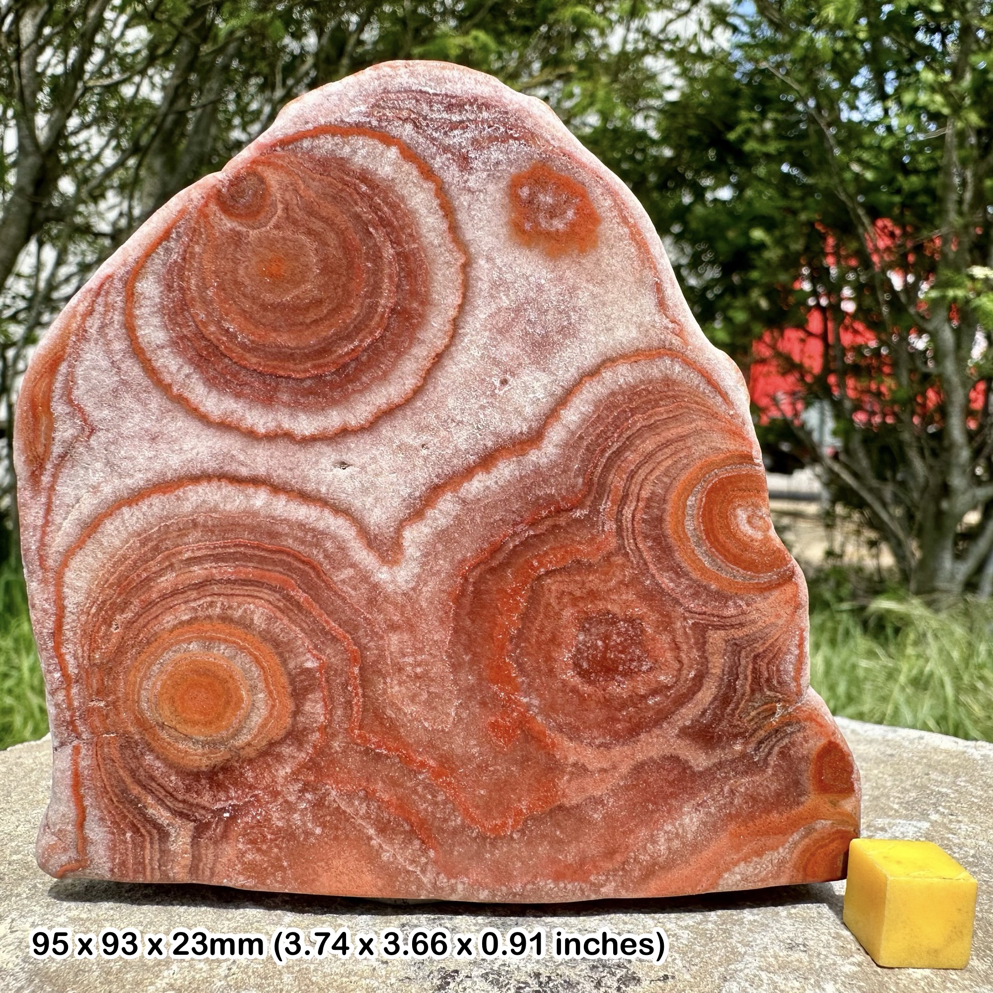 Dulcote Agate Polished Slice Crystal Spiritual Stone – Genuine Specimen ...