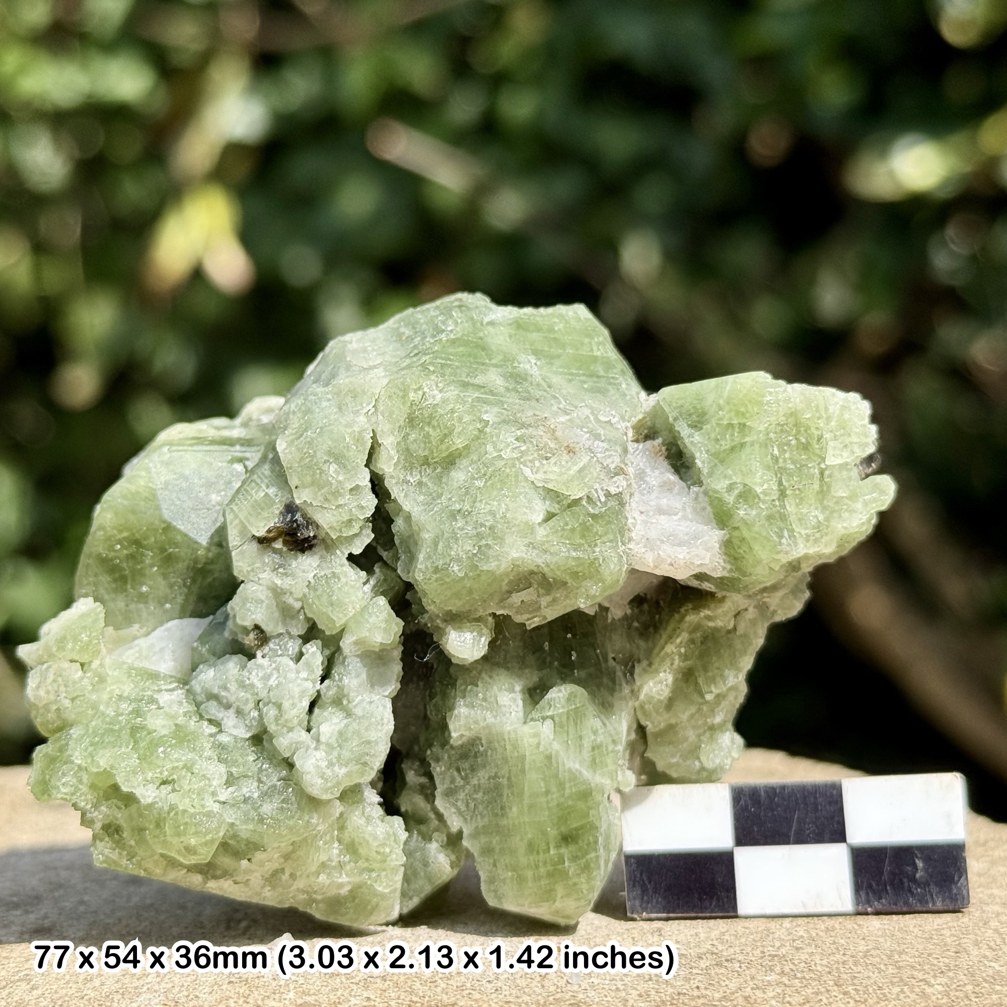 Rare Diopside Crystal with Brown Mica Badakhshan Afghanistan Natural ...