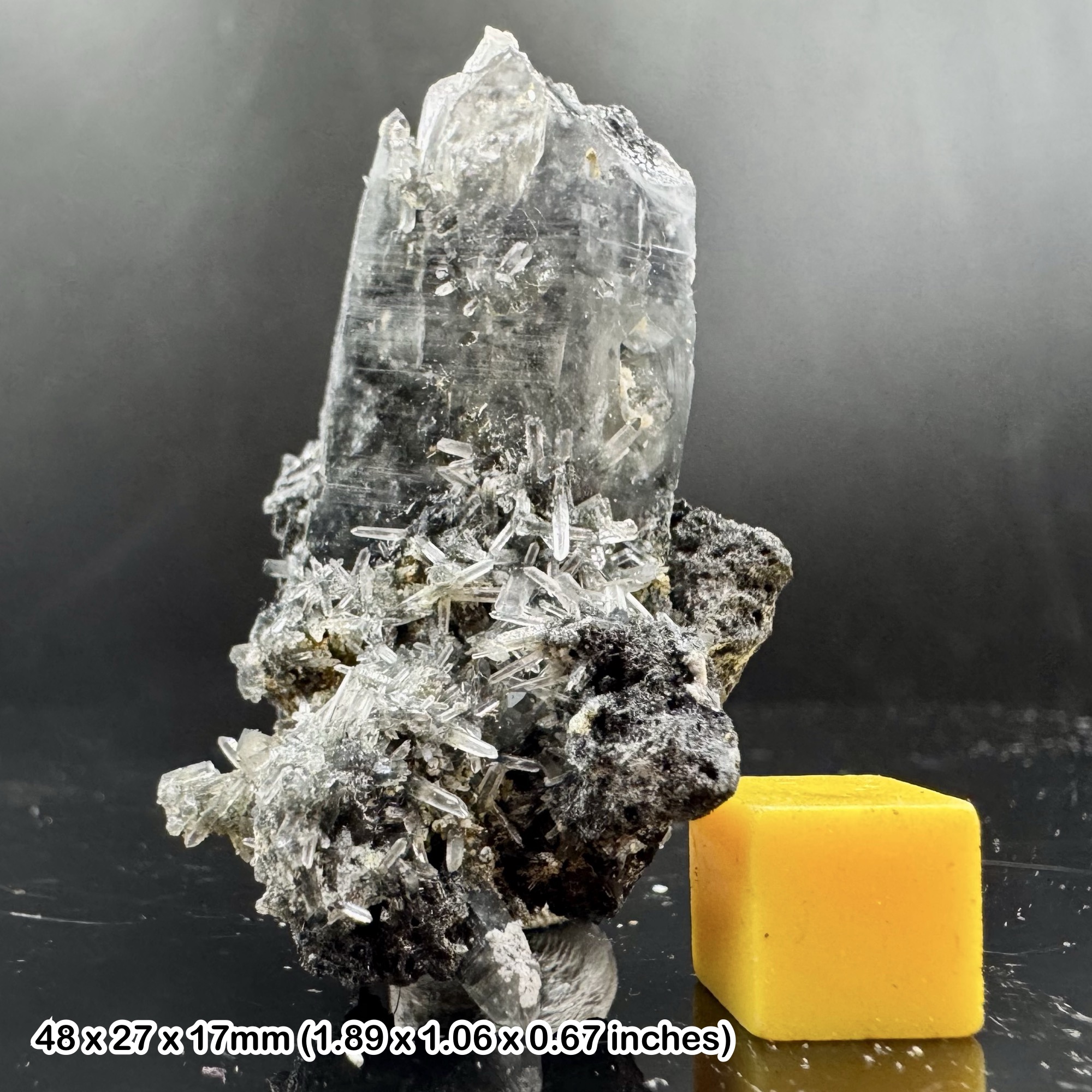 Rare Laser Quartz Crystal with Black Tourmaline Inclusions Natural ...